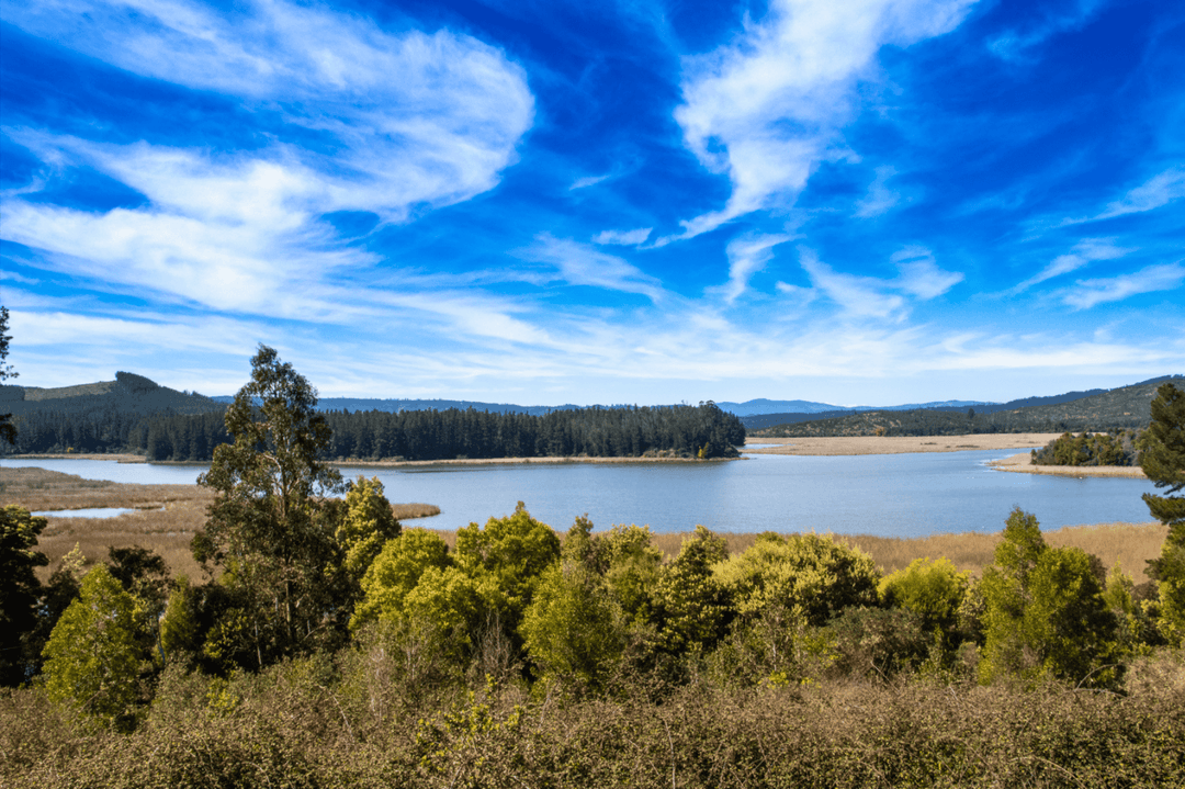 Pases Digitales Parques Nacionales - Laguna Torca